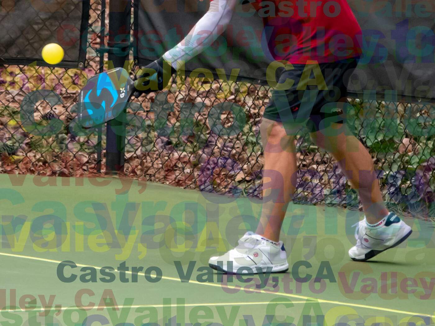 Castro Valley CA Pickleball Courts & Beginner Clinics